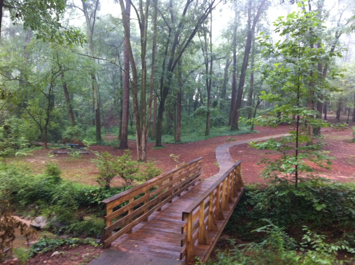 About – Friends of Dearborn Park