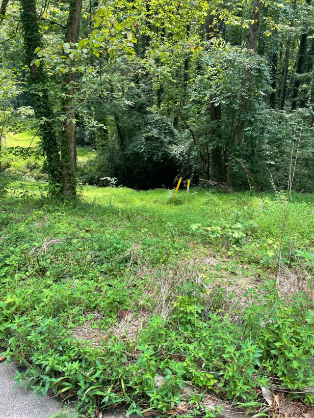 Dearborn Park Trail: Where to Enter – Friends of Dearborn Park
