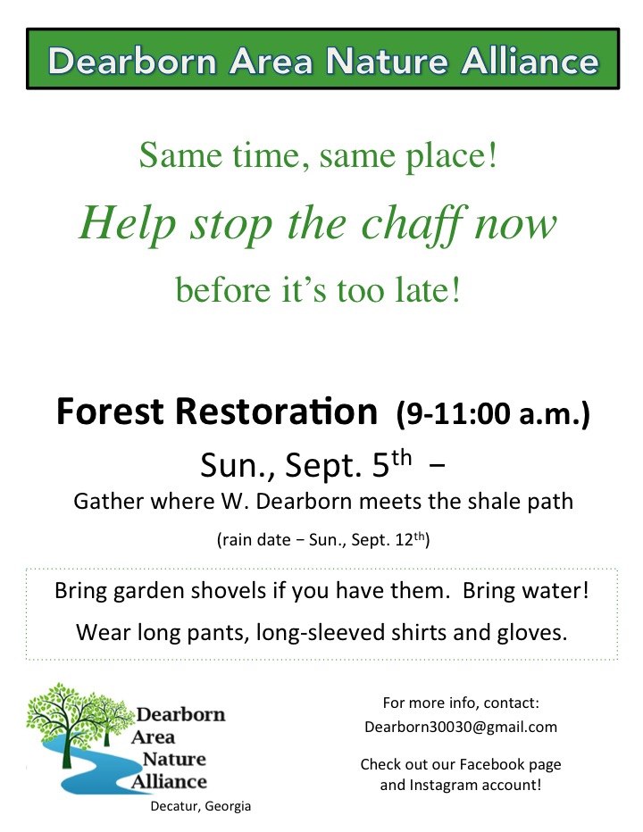 Dearborn Park Forest Restoration! – Friends of Dearborn Park