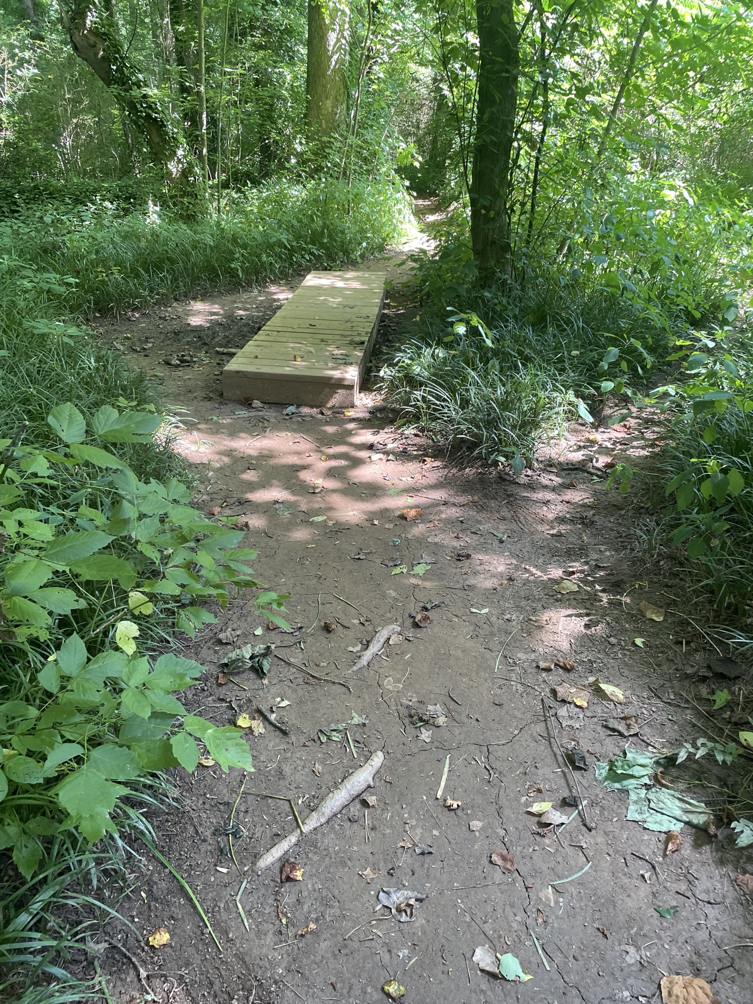 Eagle Scout Project Completed in Dearborn Park – Friends of Dearborn Park